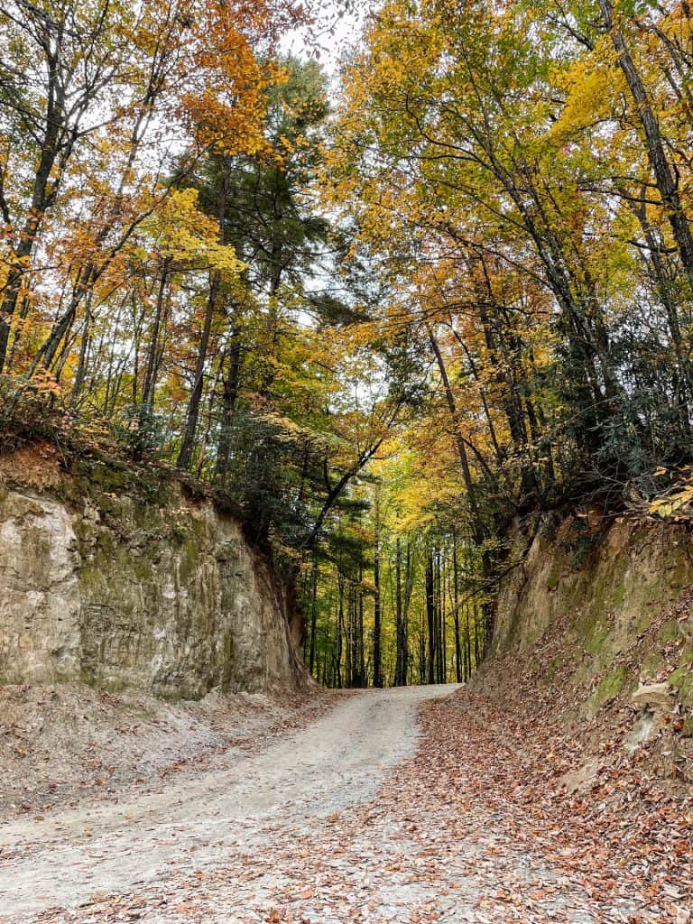 Jumping Off Rock Overlook Stunning Views - Love to Explore More
